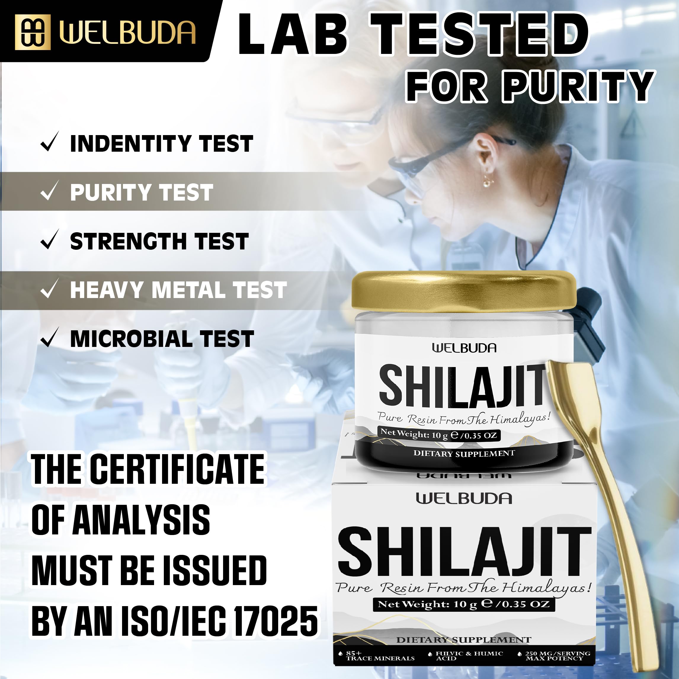 Natural energy booster with shilajit