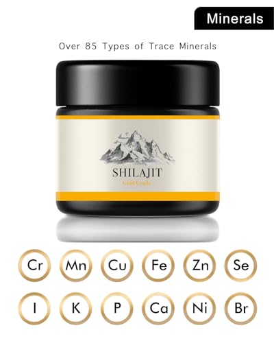 Natural energy booster with Shilajit