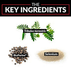 Natural energy booster with Tribulus