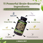 natural energy enhancement with ginkgo biloba