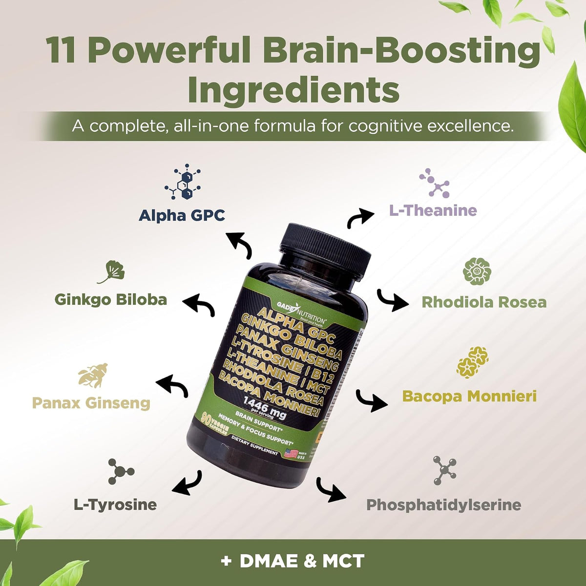 natural energy enhancement with ginkgo biloba