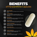 natural energy enhancer for workouts