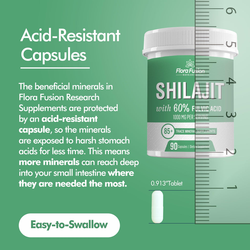 natural energy enhancer shilajit