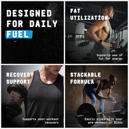natural energy from acetyl l-carnitine