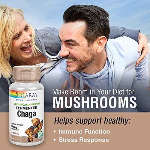natural energy from chaga mushrooms