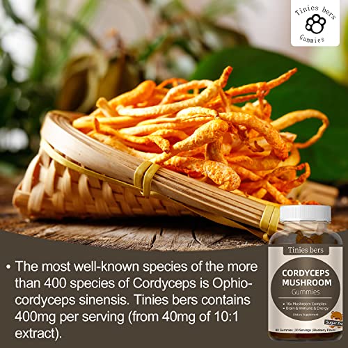 natural energy from cordyceps mushrooms