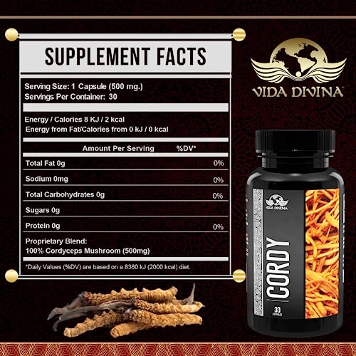 Natural energy from Cordyceps mushrooms