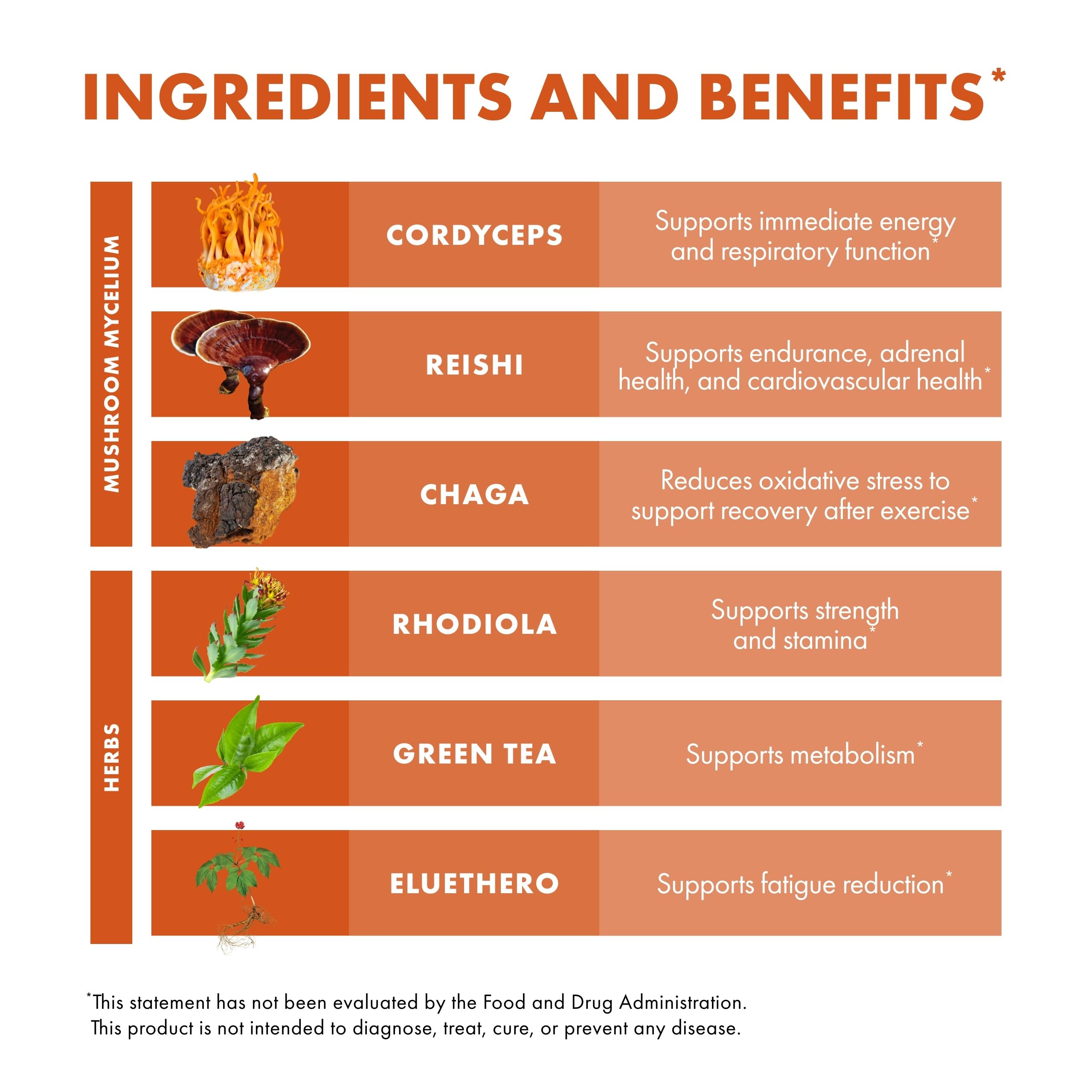 natural energy from Cordyceps mushrooms
