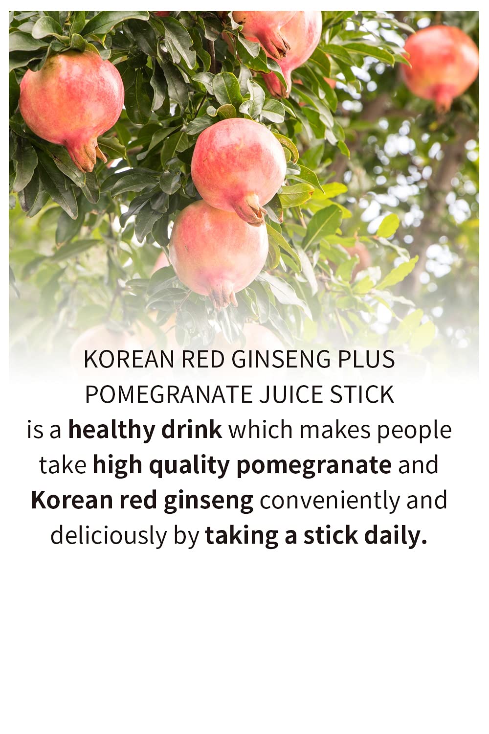 natural energy from ginseng extract