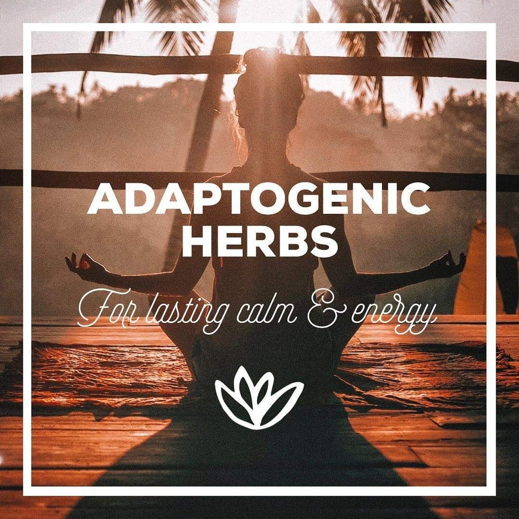 natural energy from ginseng extracts