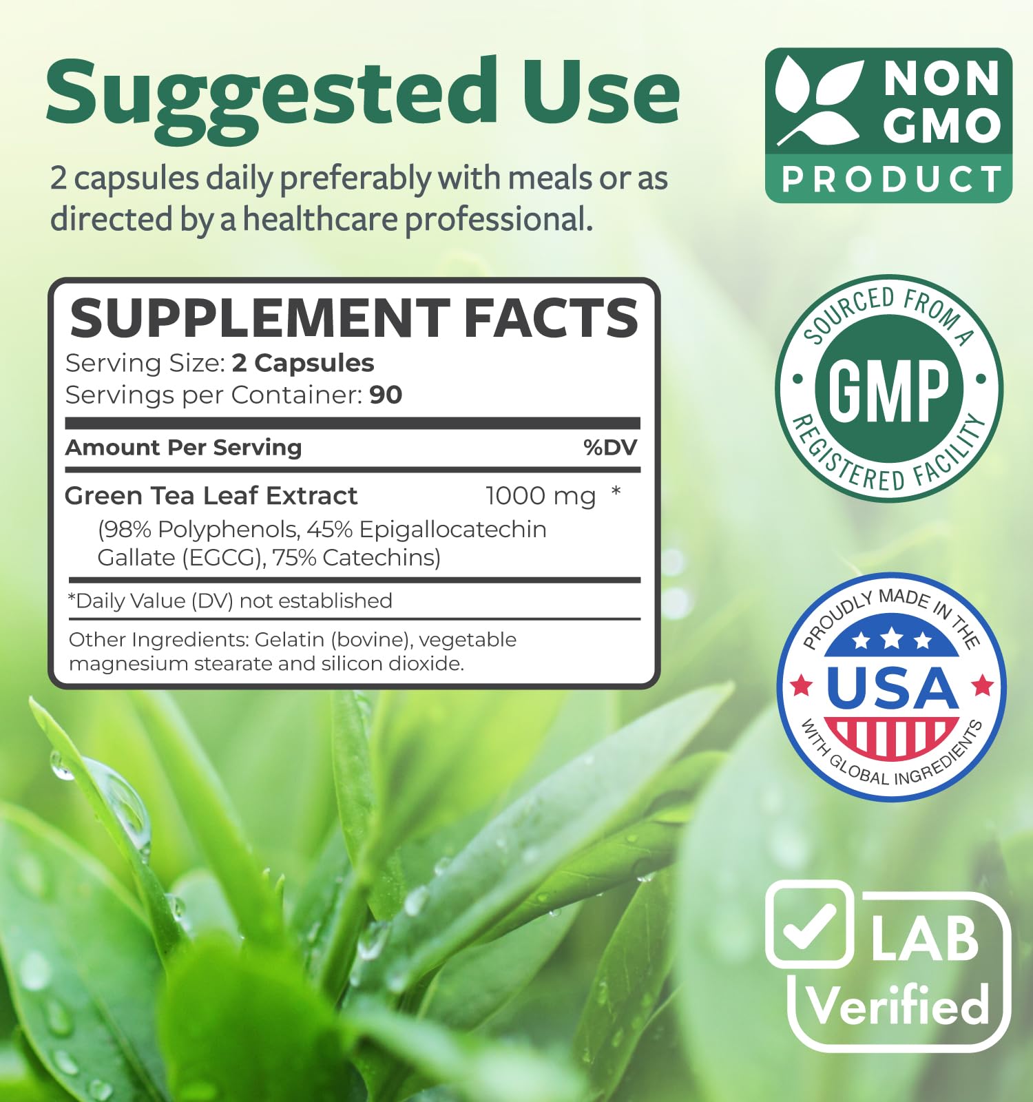 natural energy from green tea extract