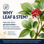 Natural energy from Korean ginseng
