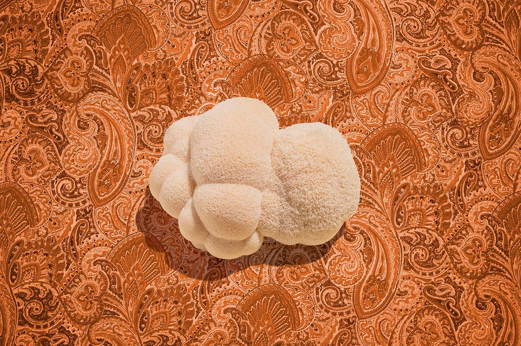 natural energy from lion's mane