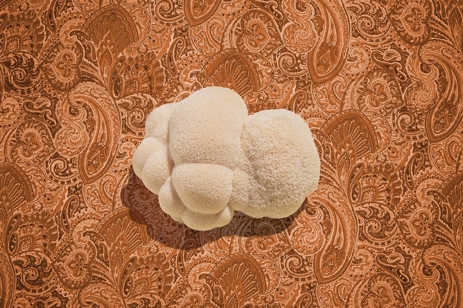 natural energy from lion's mane