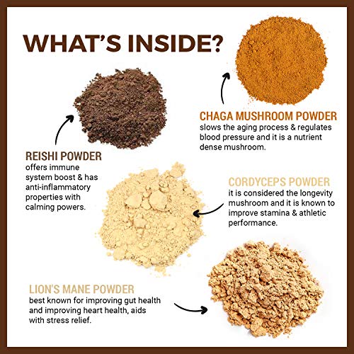 natural energy from mushroom blend