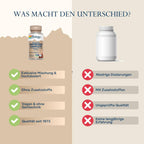 natural energy from mushroom blends