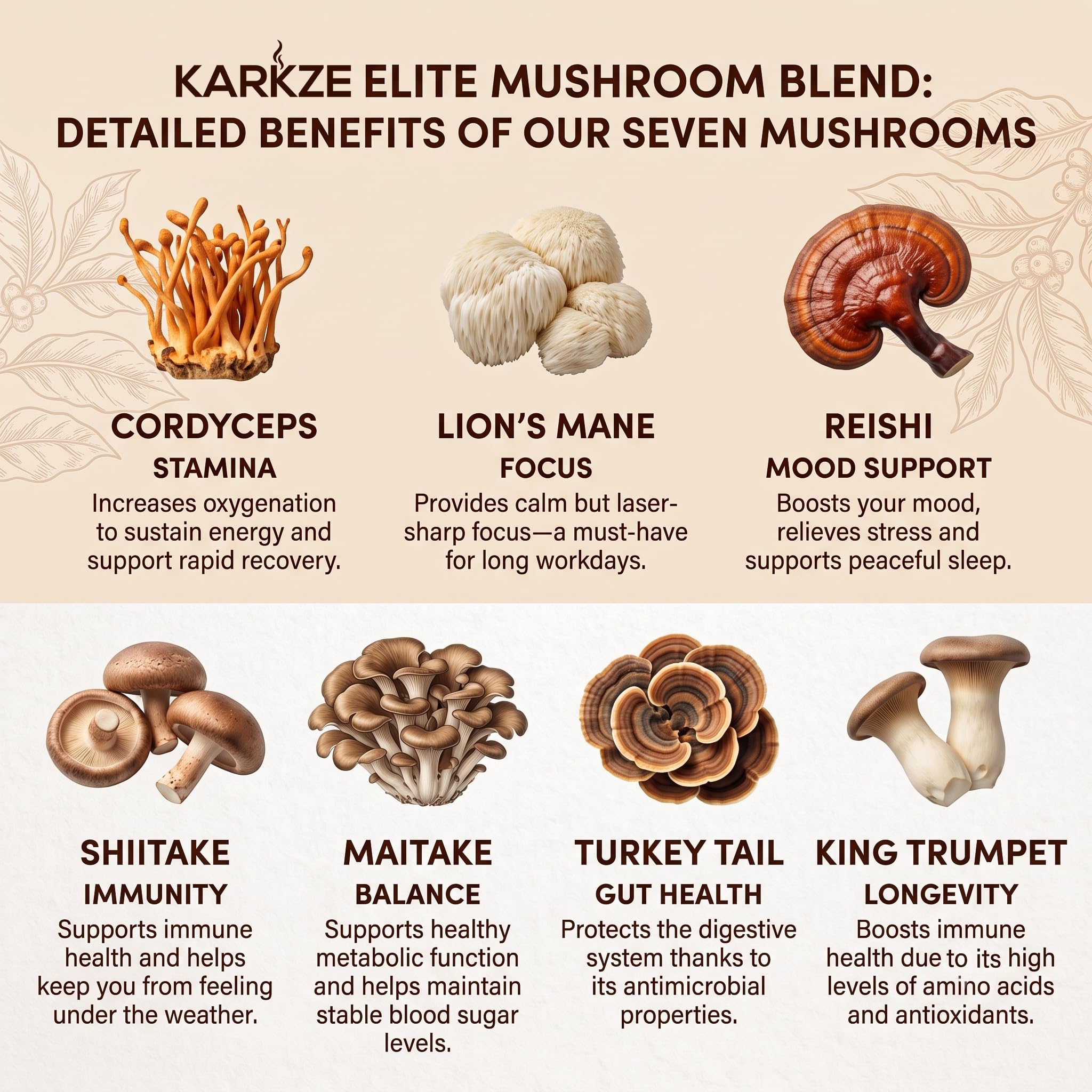natural energy from mushroom coffee
