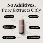 Natural energy from mushroom complex