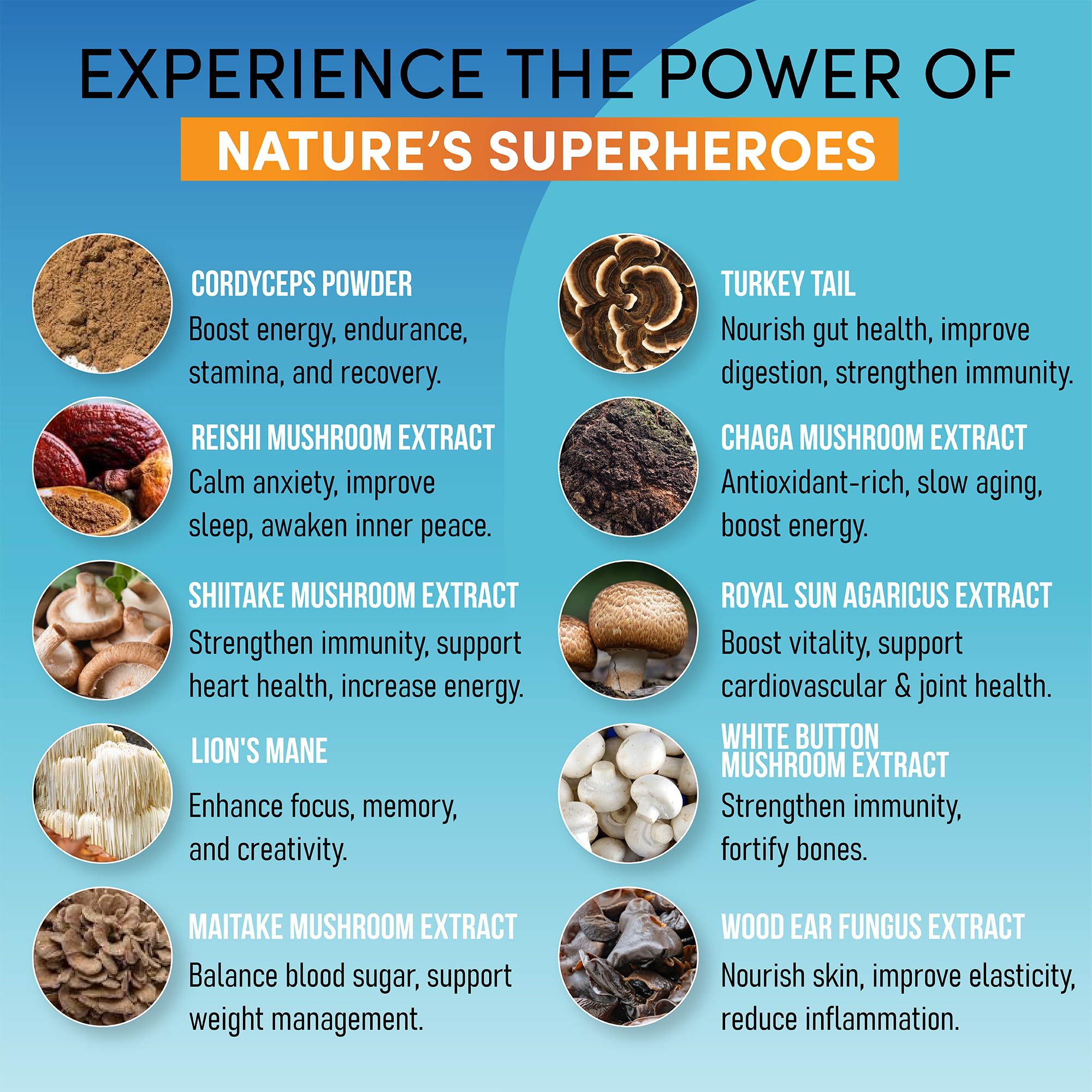 Natural energy from mushroom extract
