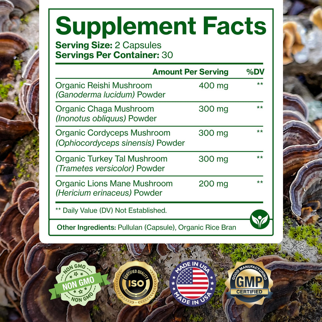 natural energy from mushroom extracts