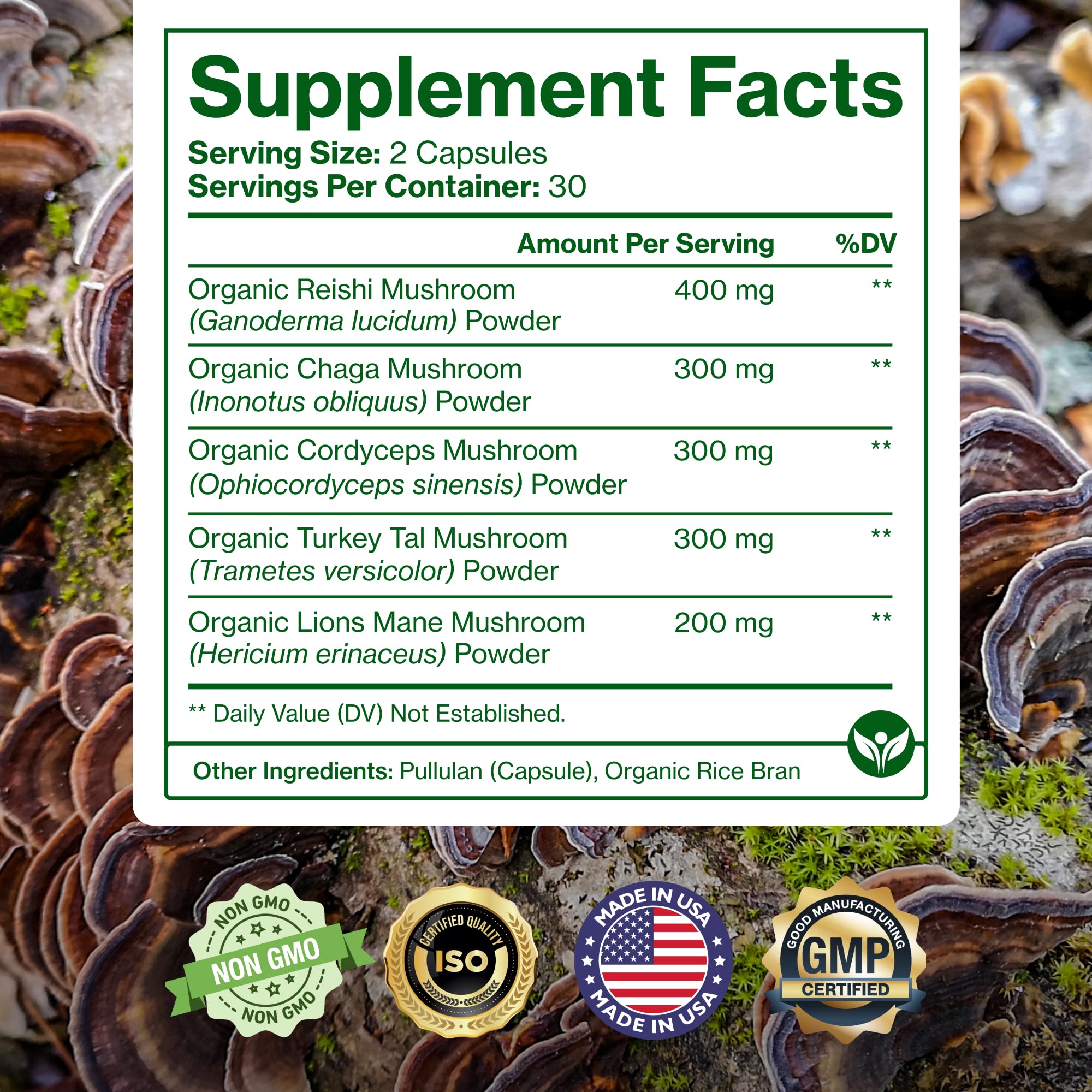 natural energy from mushroom extracts