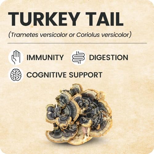 natural energy from mushroom gummies