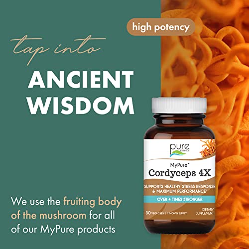 Natural energy from mushroom powder