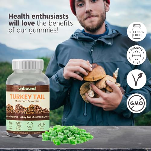 natural energy from mushroom supplements