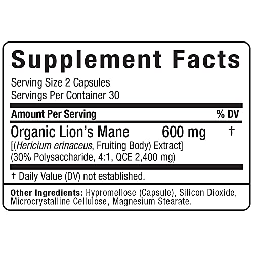 natural energy from mushroom supplements