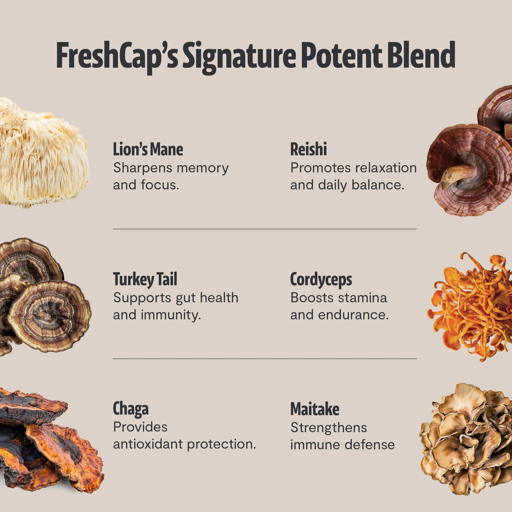natural energy from mushrooms