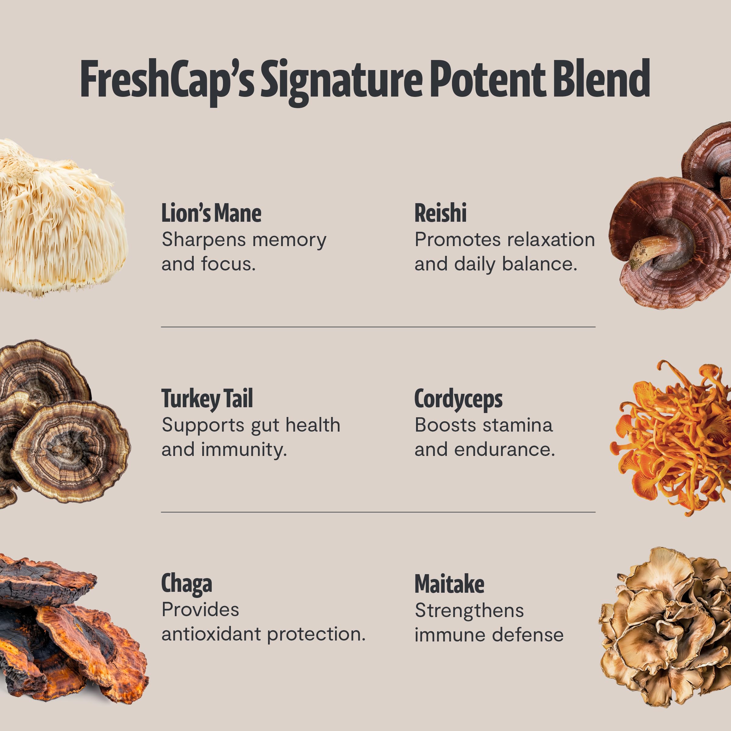 natural energy from mushrooms