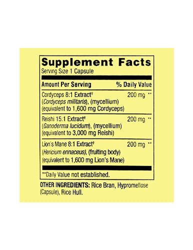 natural energy from mushrooms