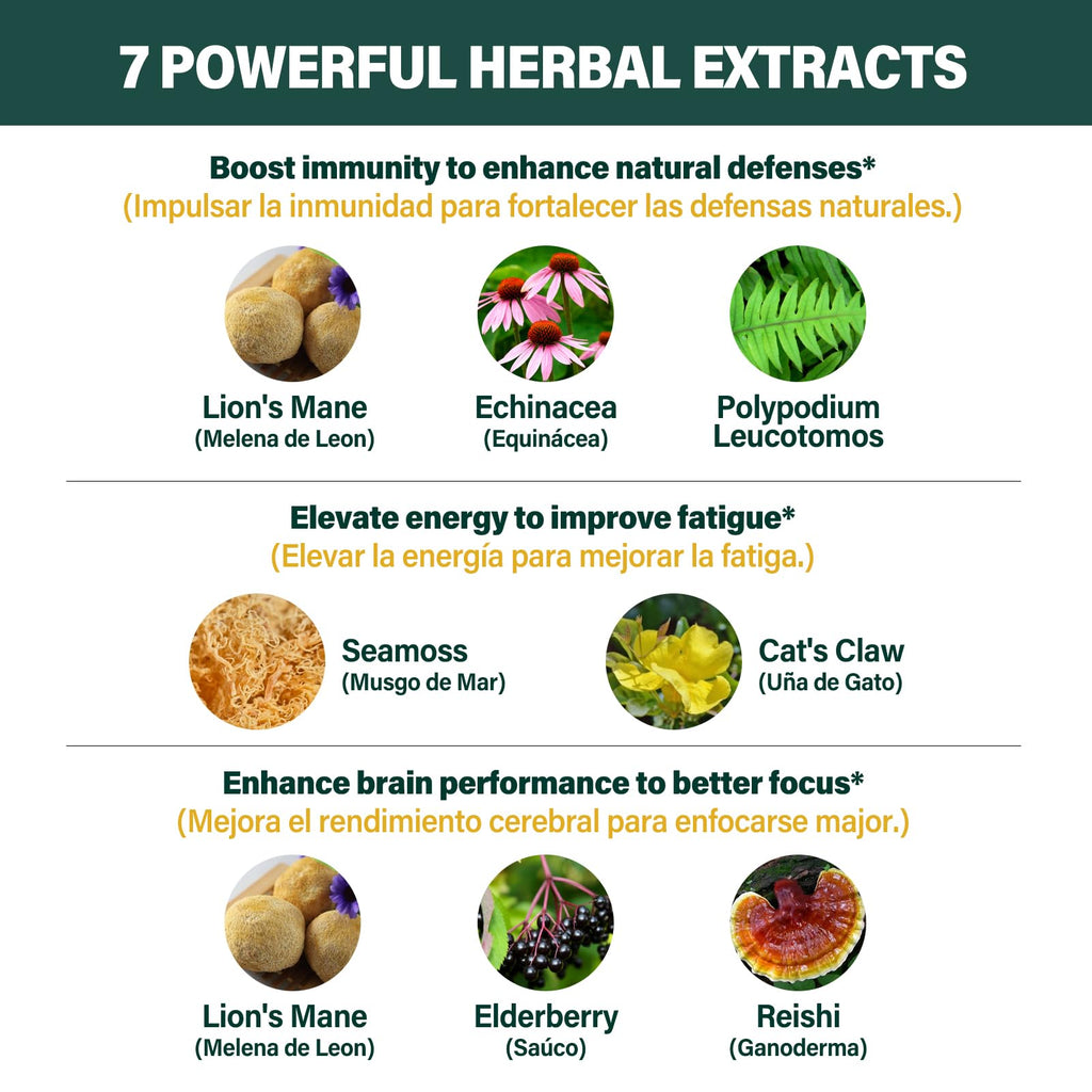 natural energy from mushrooms