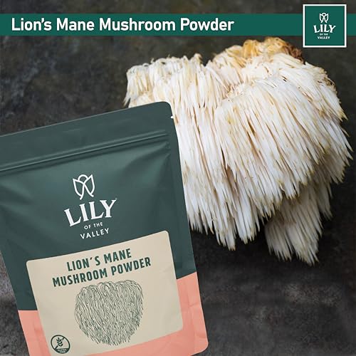 natural energy from mushrooms