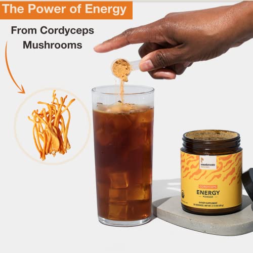 natural energy from organic mushroom powder