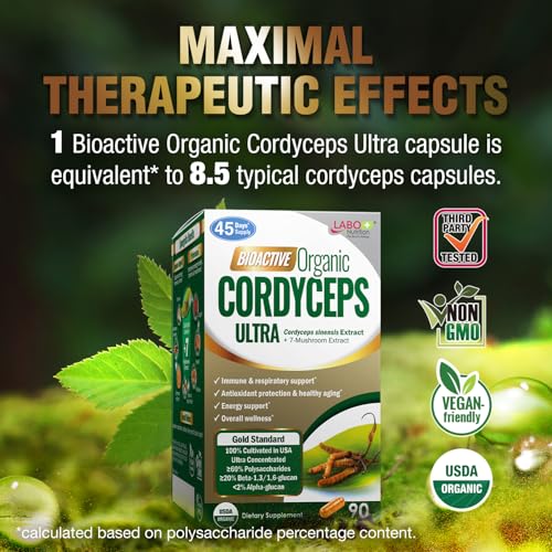natural energy from organic mushrooms
