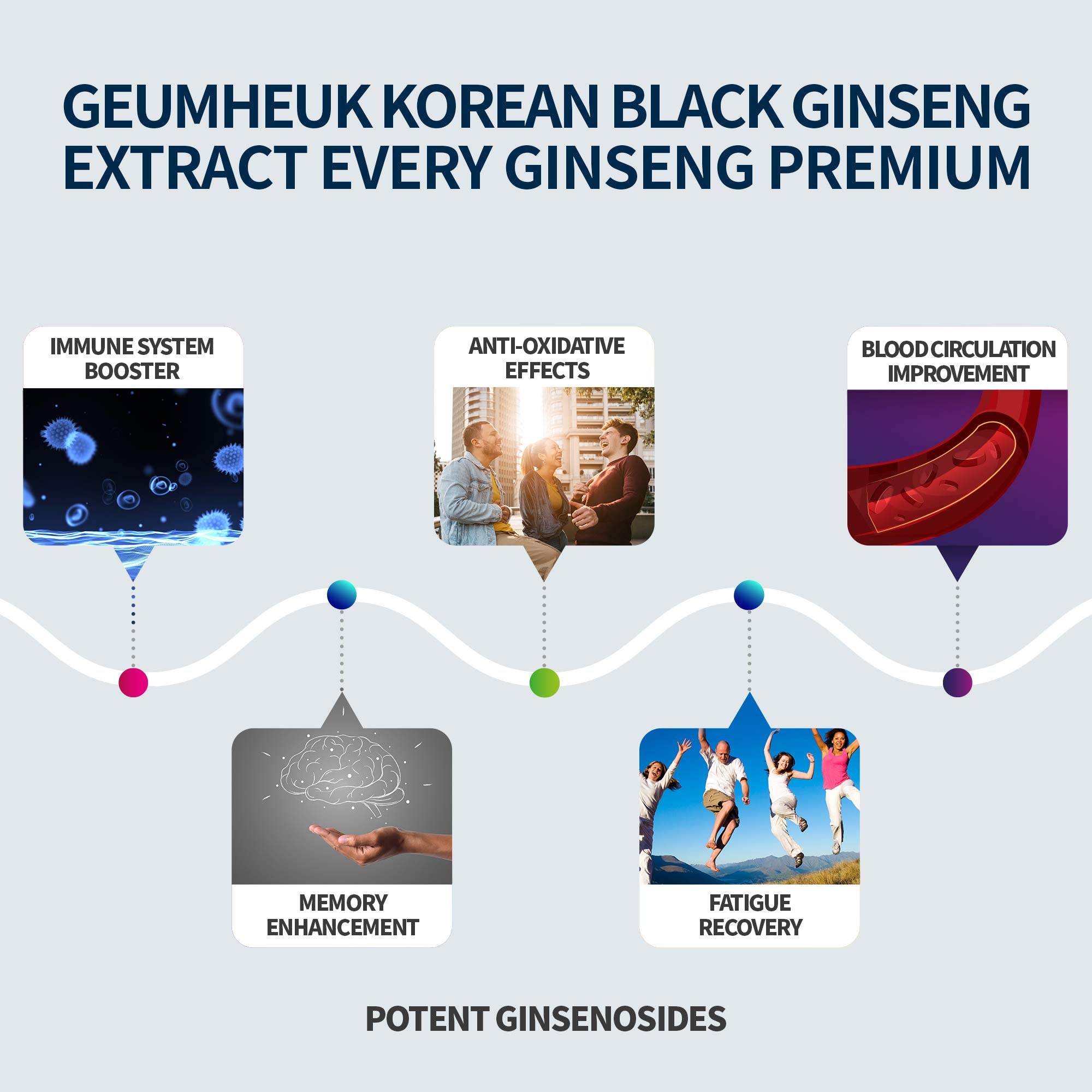 natural energy from wild ginseng