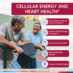 natural energy production CoQ10