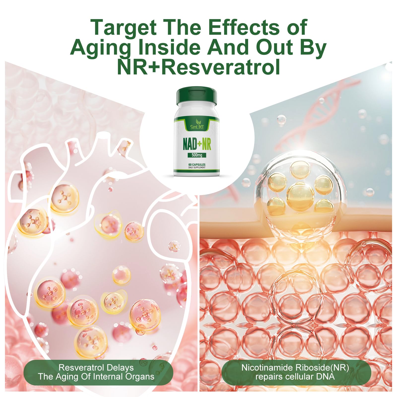Natural energy production with NMN