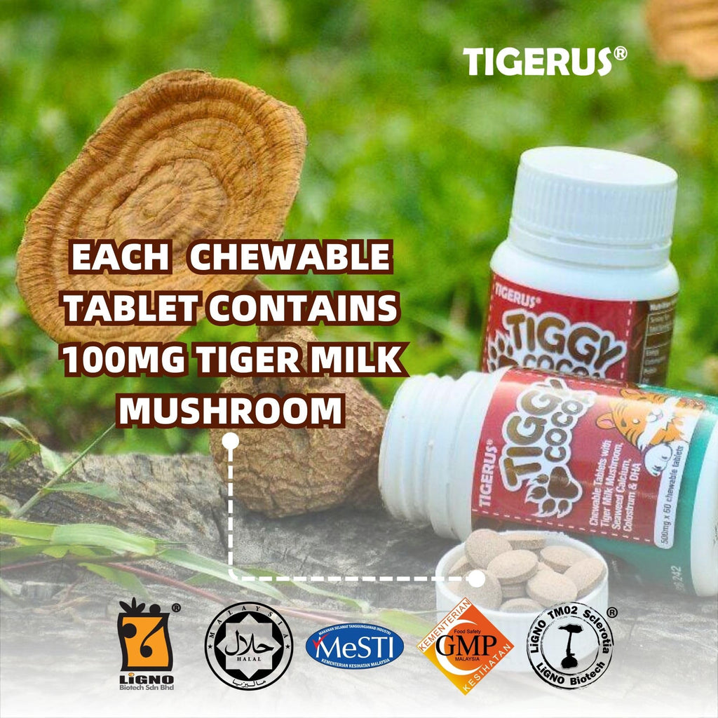 natural energy source cocoa tablets