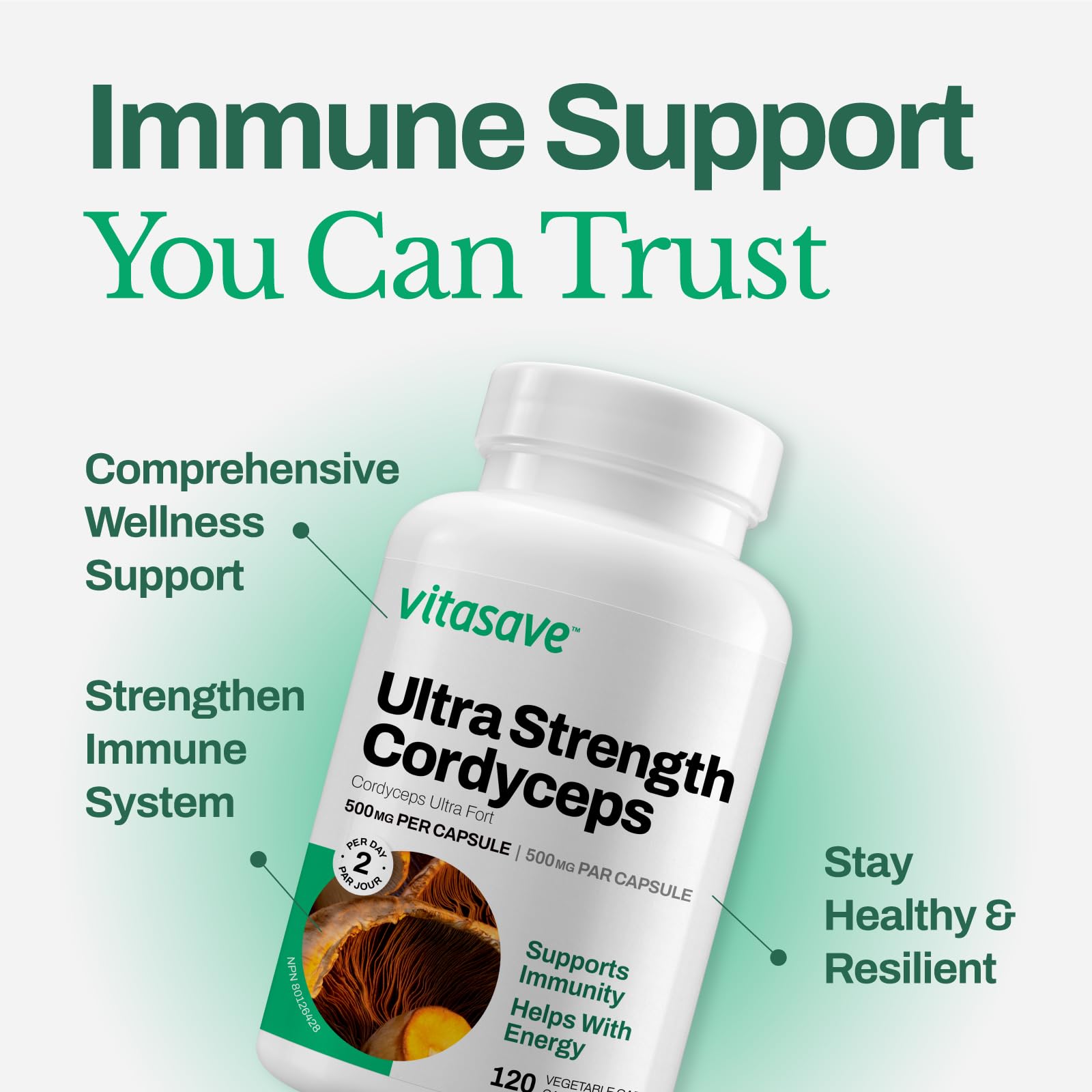 natural energy source Cordyceps mushrooms