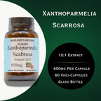 natural energy supplement for athletes