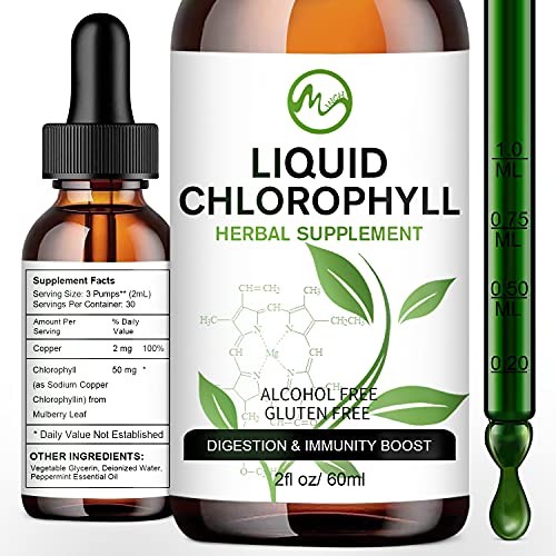natural energy supplement for digestion