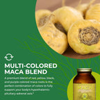 Natural energy supplement Gelatinized Maca