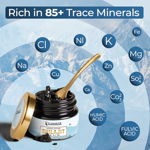 natural energy supplement shilajit