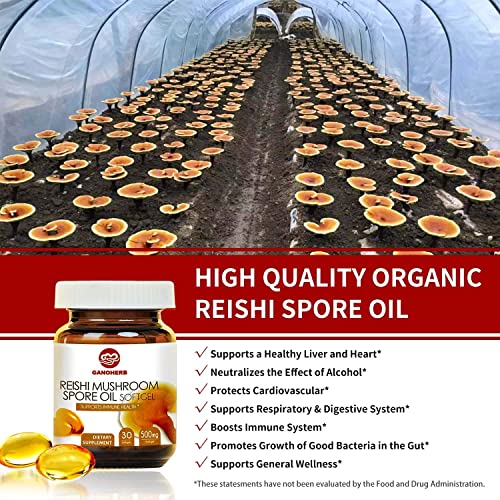 Natural energy supplement with mushrooms