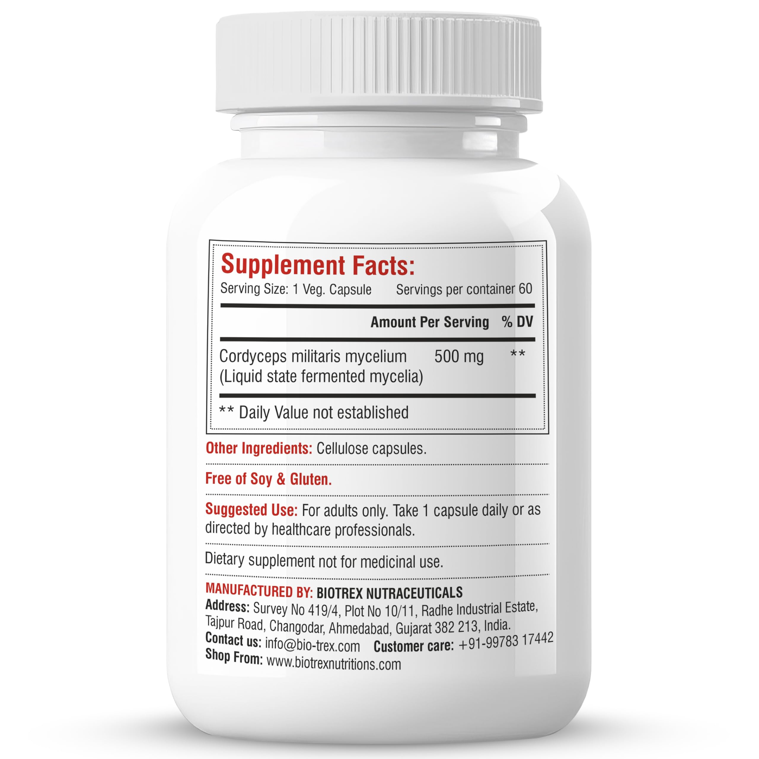 Natural energy supplement with mushrooms
