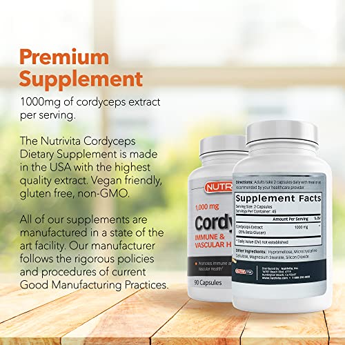 Natural energy supplement with mushrooms
