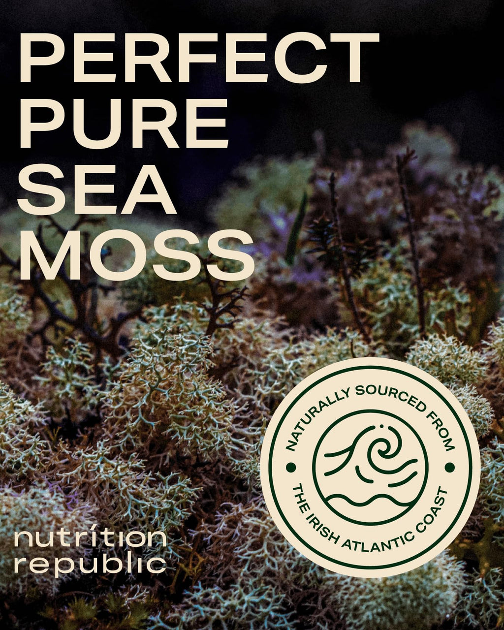 natural energy supplement with sea moss