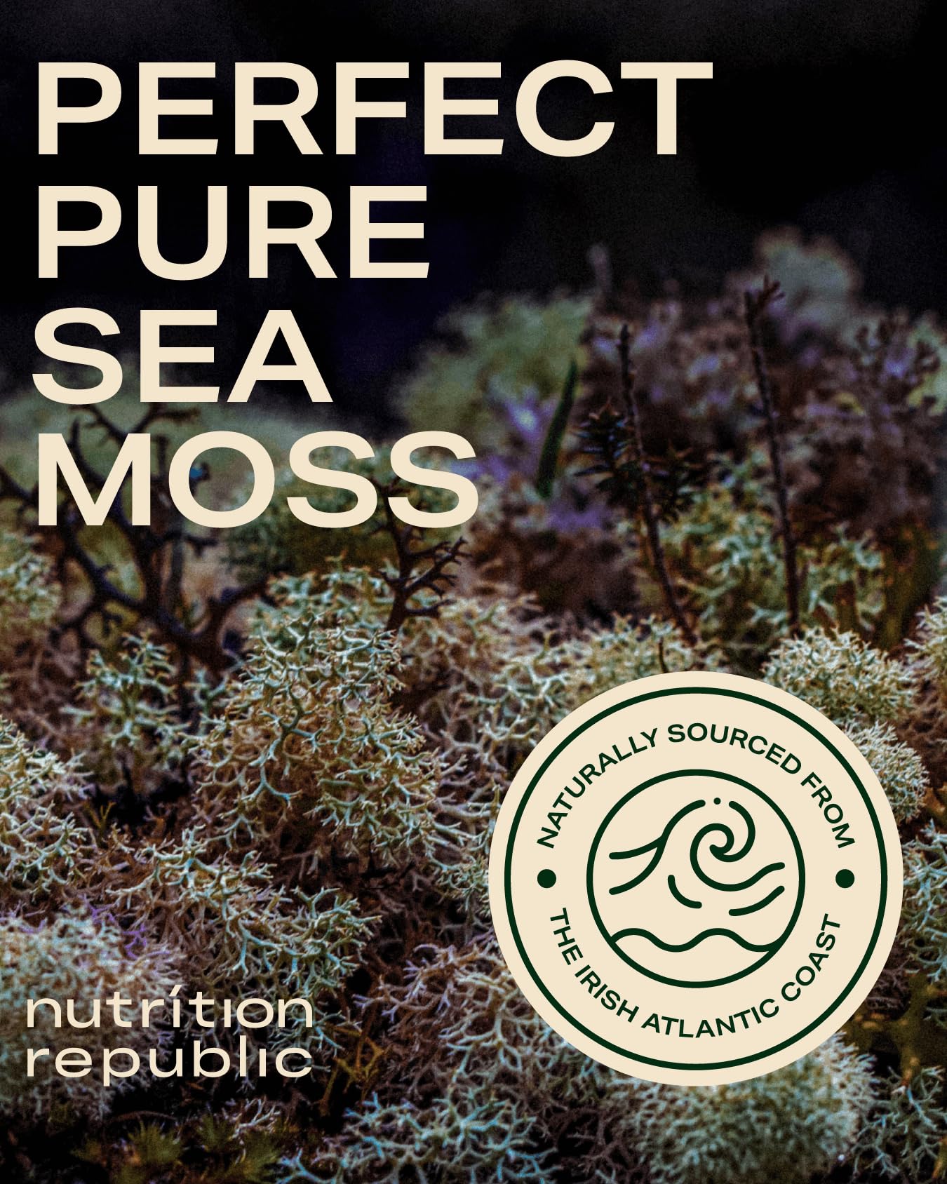 natural energy supplement with sea moss